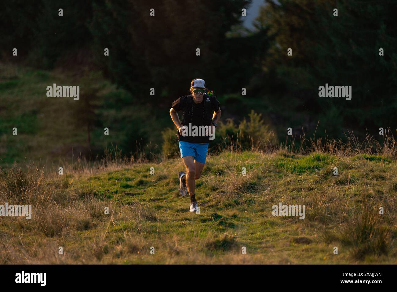 Man running on mountain trail in Kitzbühel Alps, Tyrol, Austria Stock ...
