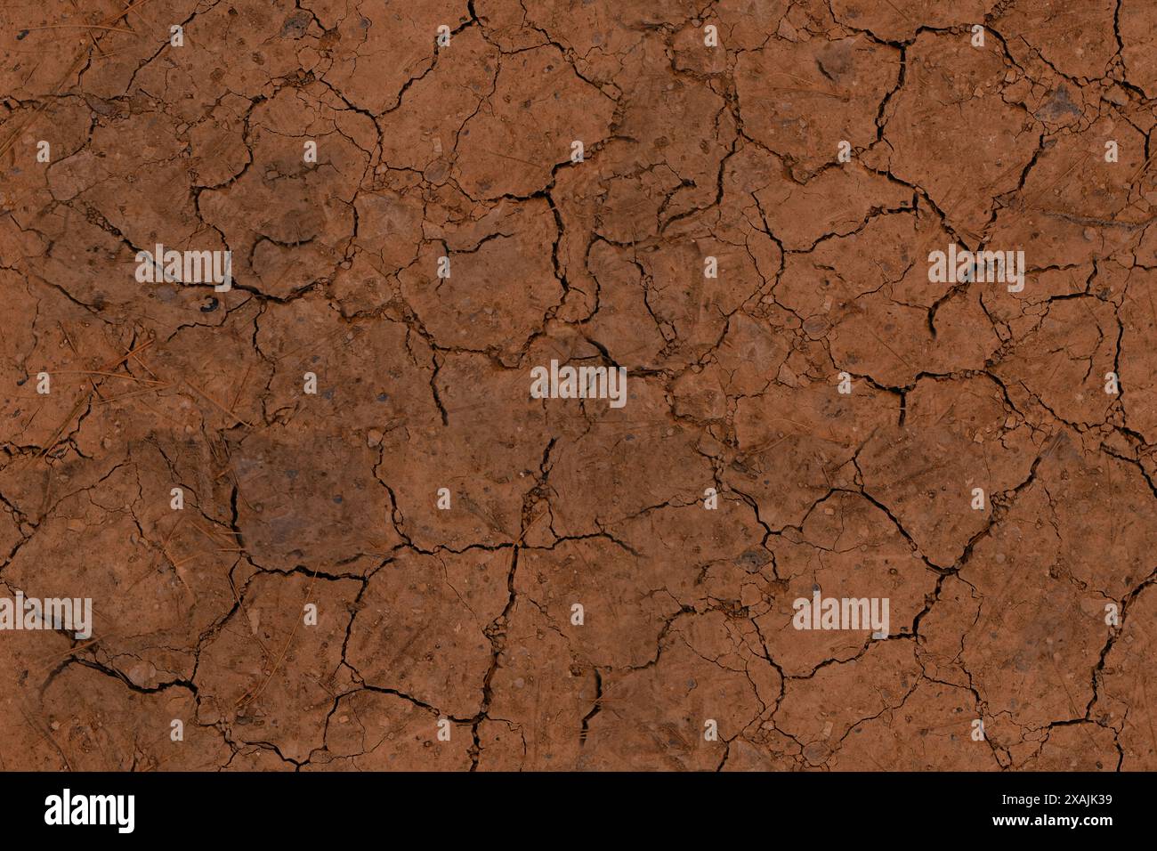 close-up shot eroded soil, cracked and parched earth, Drought-affected ...