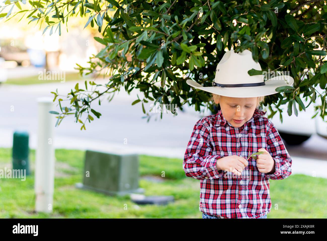 Young 3-5 aged cowboy under a tree in cowboy hat and boots Stock Photo ...