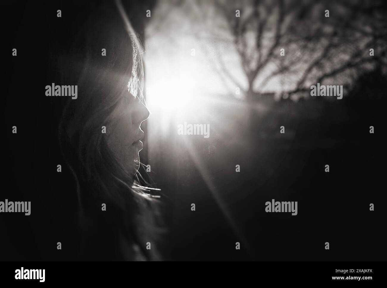 Profile of beautiful young girl looking out sunny window Stock Photo ...