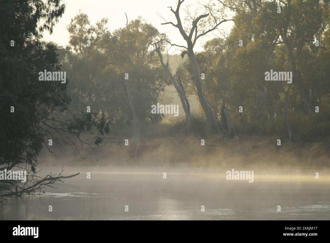 Flora river hi-res stock photography and images - Alamy
