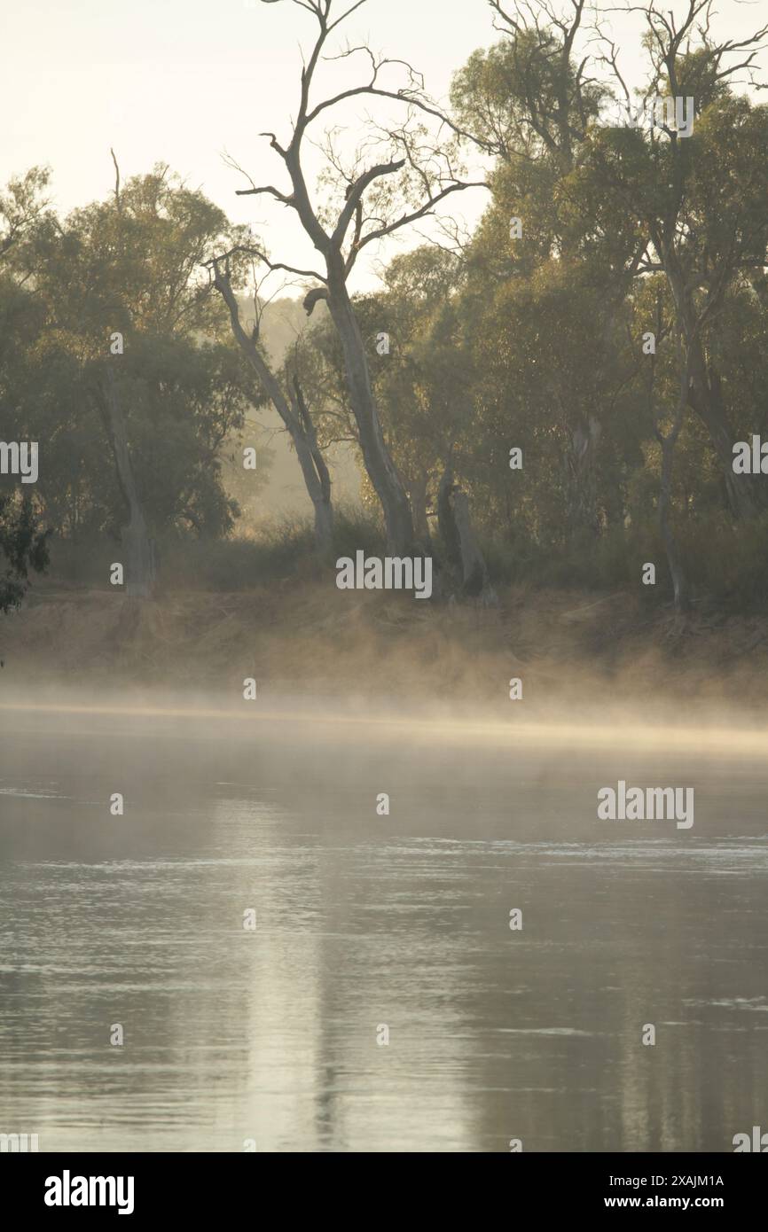 Portrait of mist over the Murray River Stock Photo - Alamy