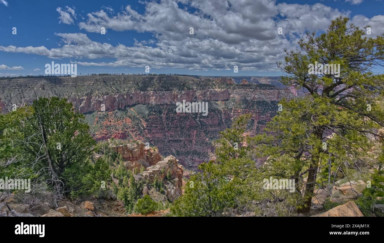 View from North Cliff of Atoko Point North Rim AZ Stock Photo - Alamy