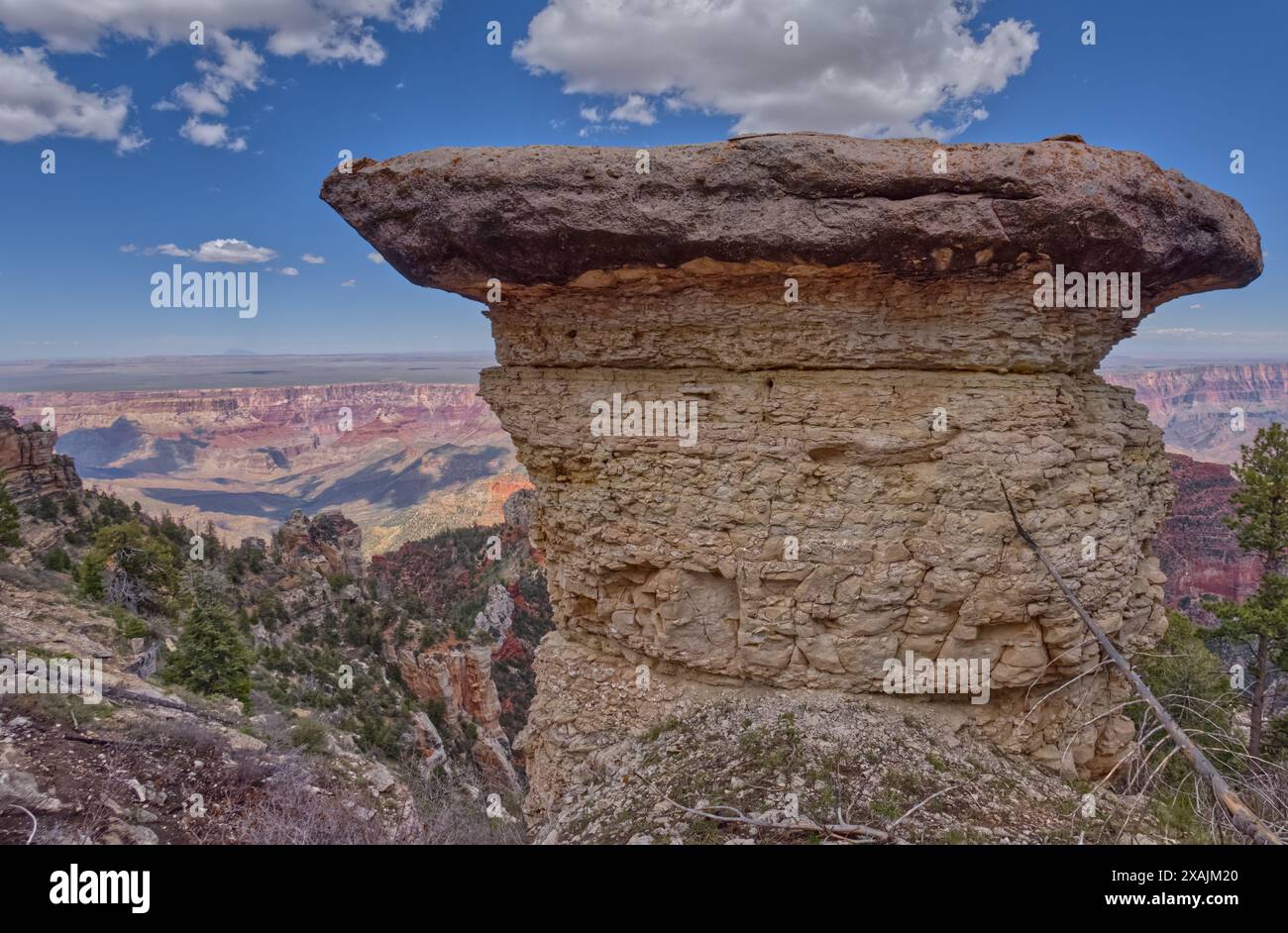 View of Siegfried Spire from Atoko Point on North Rim AZ Stock Photo ...