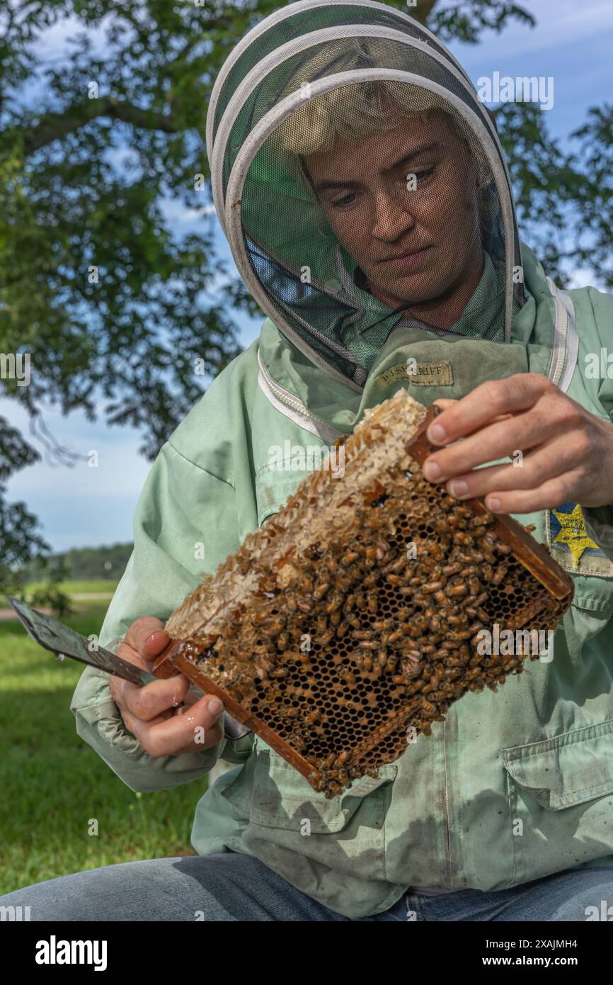 Beekeeper in protective gear hi-res stock photography and images - Alamy