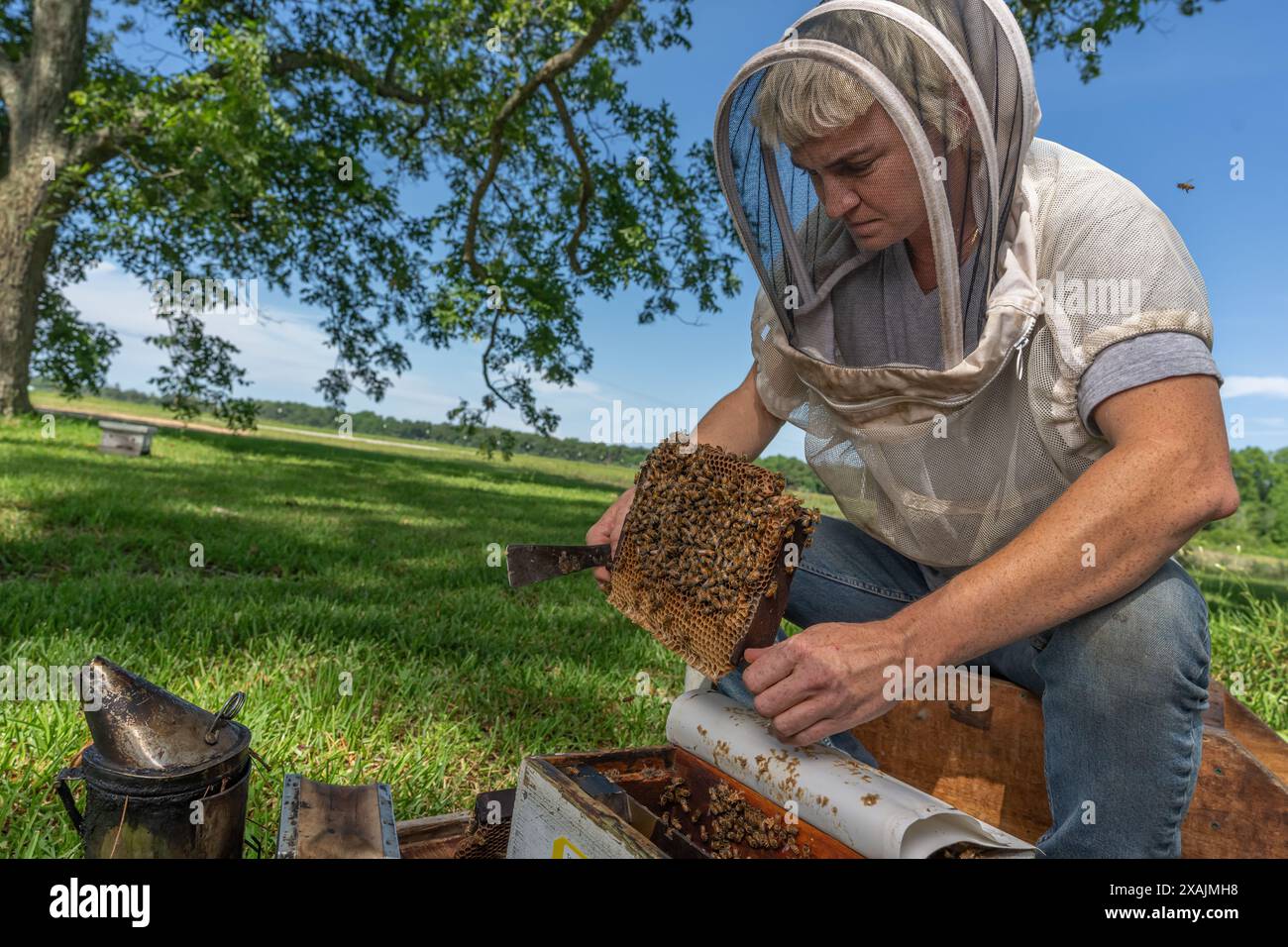 Beekeeper in protective gear hi-res stock photography and images - Alamy