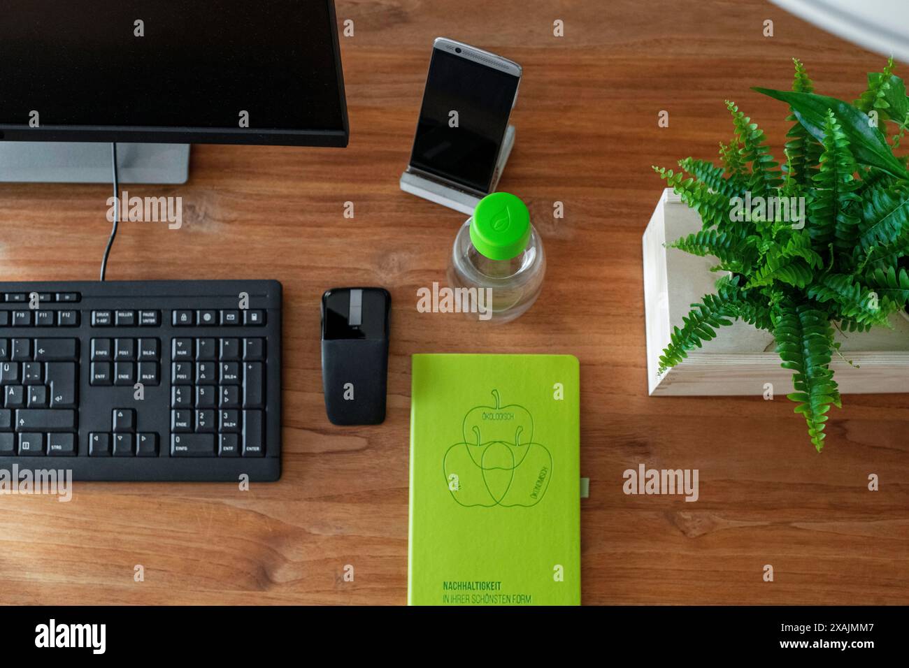 Home office arrangement with green plants, view from above, studio shot ...