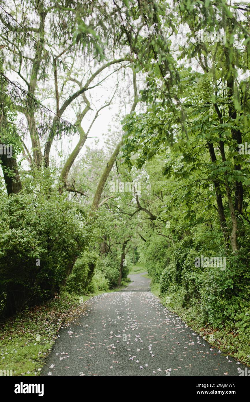 Rainy day in the long drive hi-res stock photography and images - Alamy