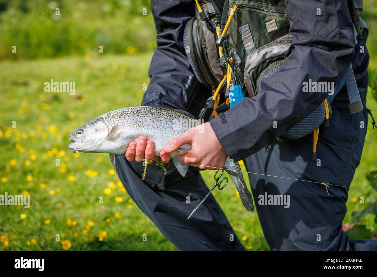 A young teenage boy holds the fresh rainbow trout he has just caught ...