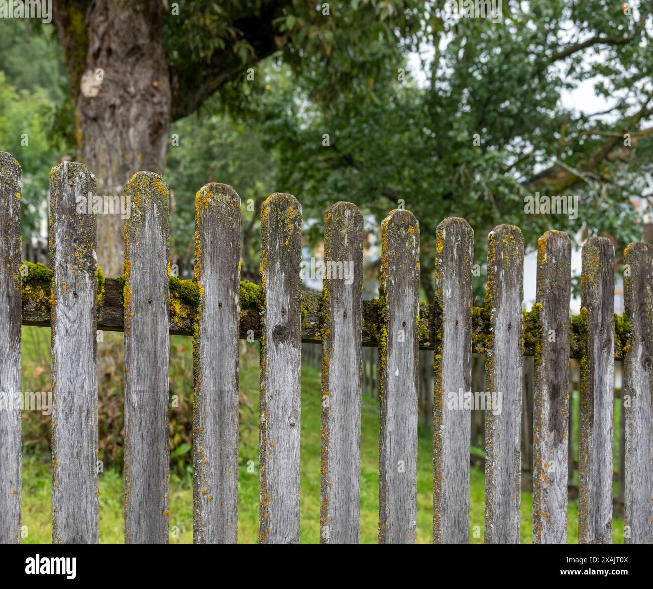 Austria, Serfaus-Fiss-Ladis, Ladis old wooden picket fence Stock Photo ...