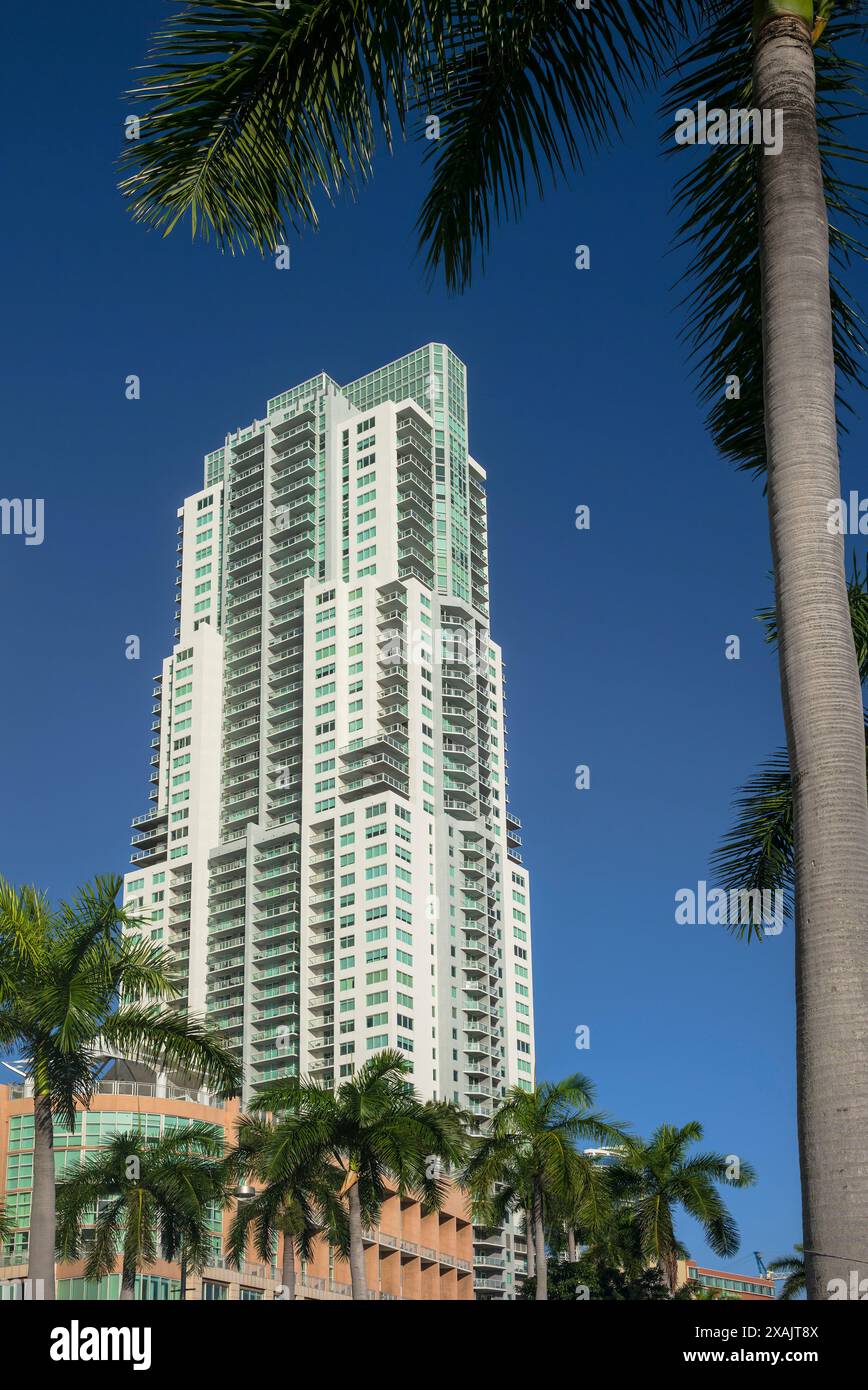 Biscayne Boulevard Building, Downtown Miami, Florida, USA Stock Photo ...