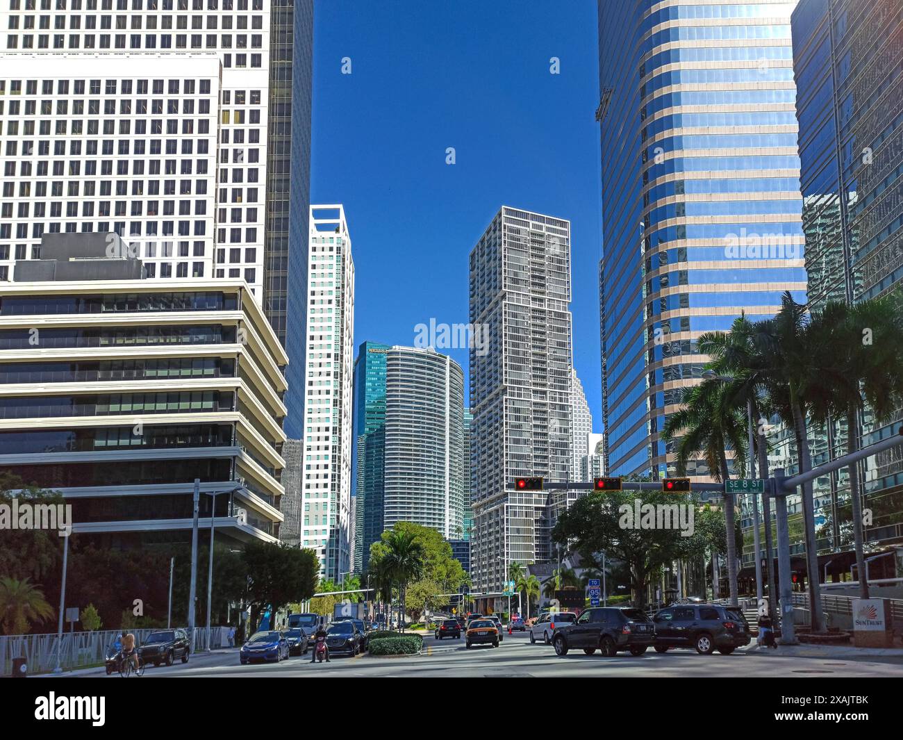 Palm trees brickell avenue hi-res stock photography and images - Alamy