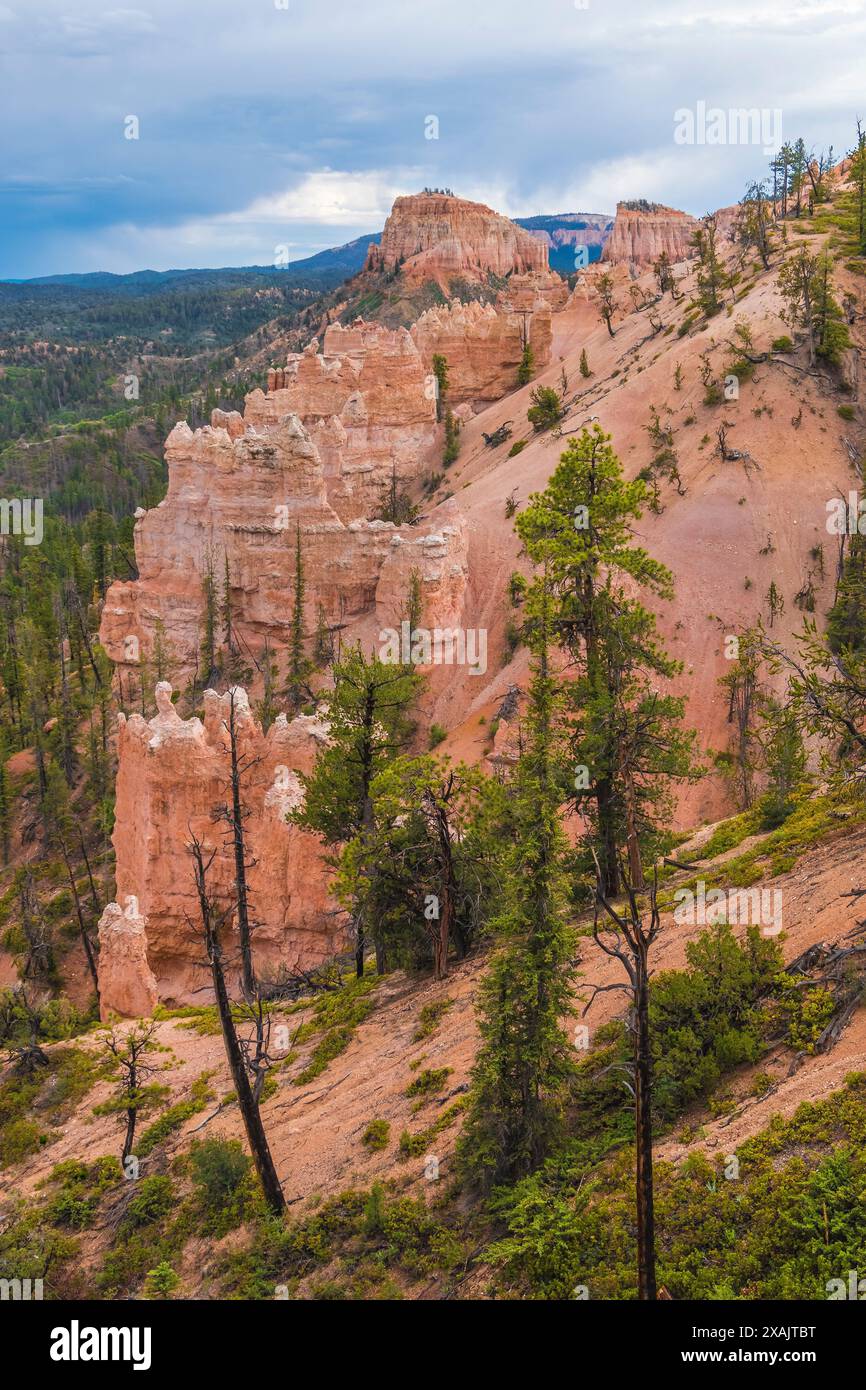 Swamp overlook hi-res stock photography and images - Alamy