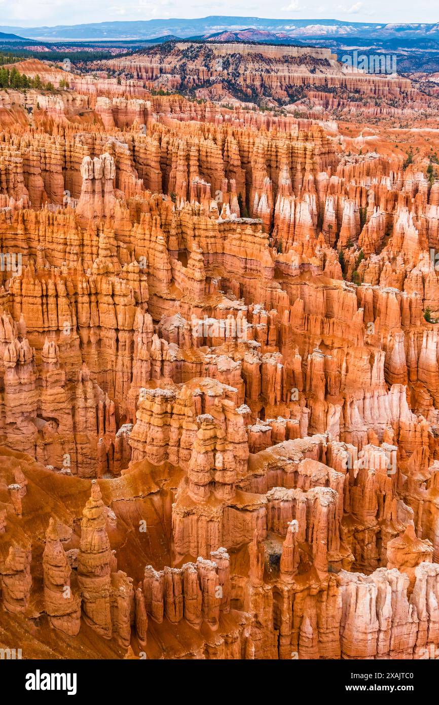 Hoodoos, Cedar Breaks National Monument Stock Photo - Alamy
