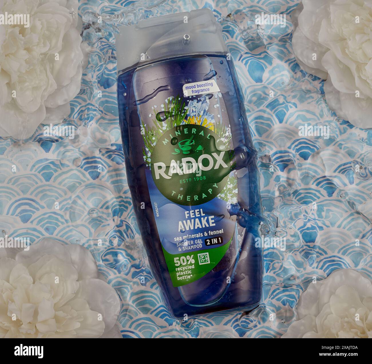 Mansfield,Nottingham,United Kingdom:Studio product image of Radoc body ...