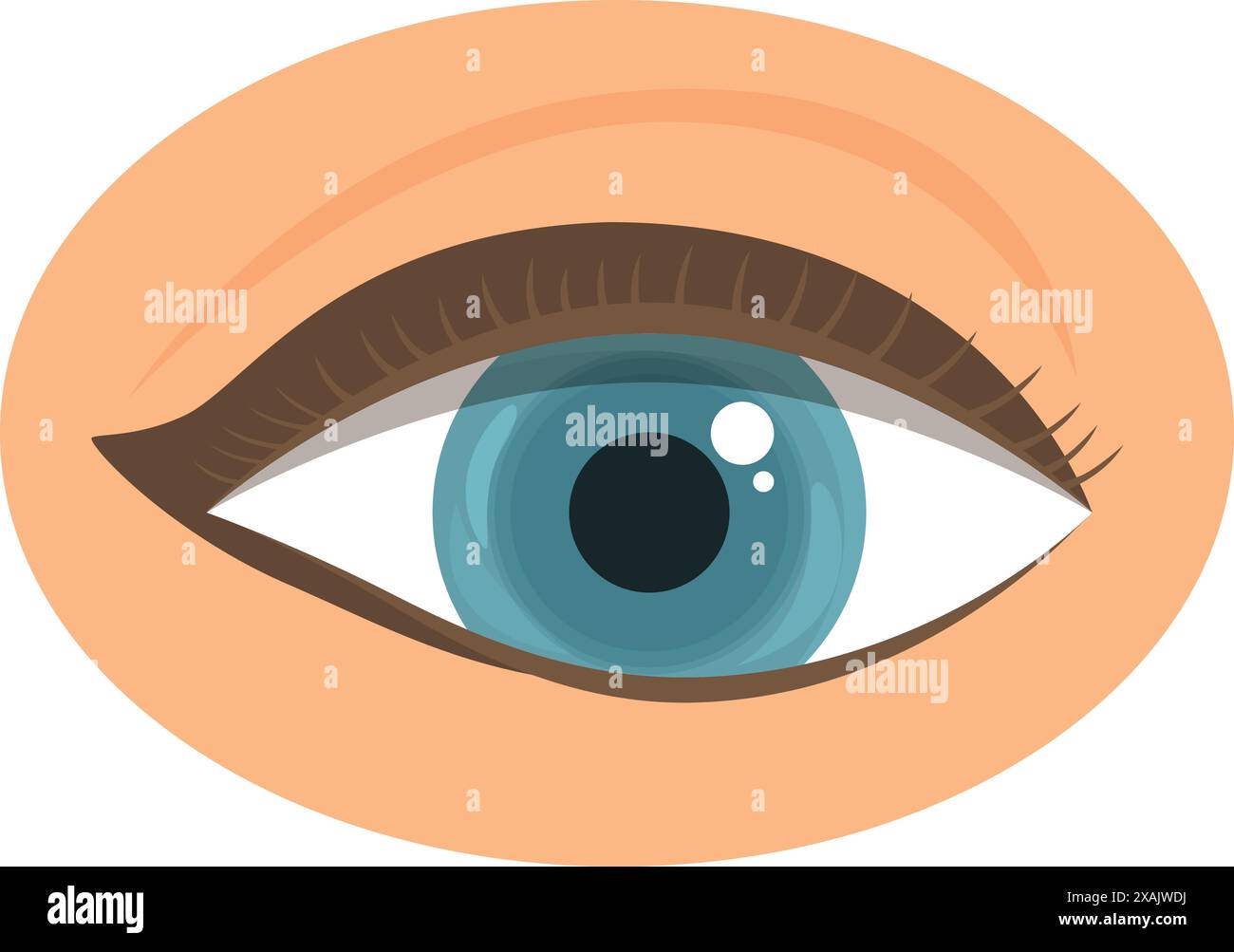 Beautiful female eye with makeup looking up isolated on white ...