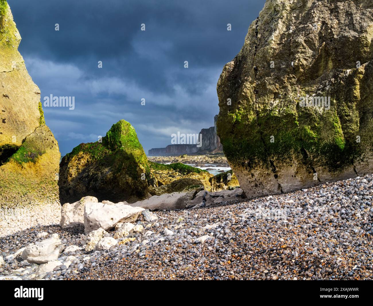 On the cliffs of Valleuse Senneville Sur Fecamp, Normandy, France Stock ...