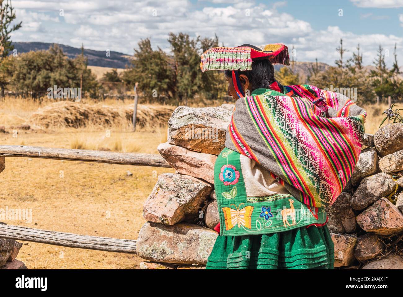 indigenous women walking dressed in typical costumes made of alpaca ...