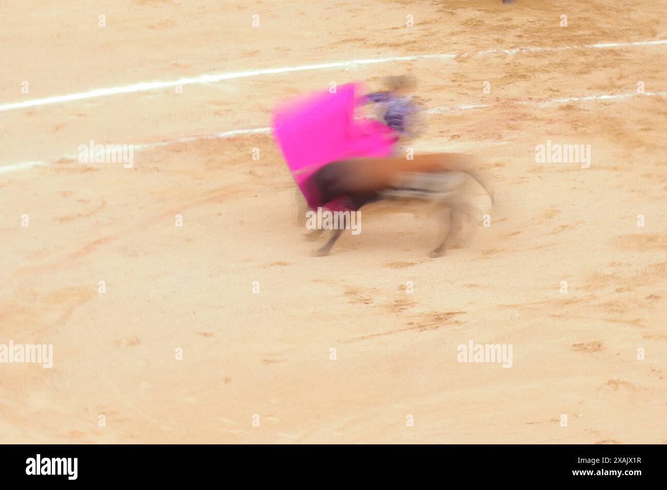 Brave bull in the bullfight arena, Raging bull ready to ram. High ...