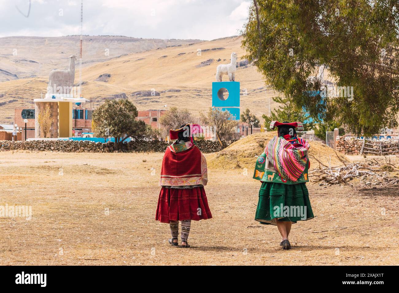 indigenous women walking dressed in typical costumes made of alpaca ...