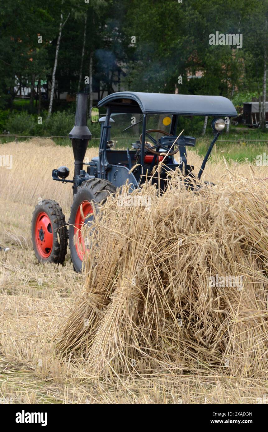 22.07.2012 historische Getreideernte Deutschland/ Sachsen Anhalt ...