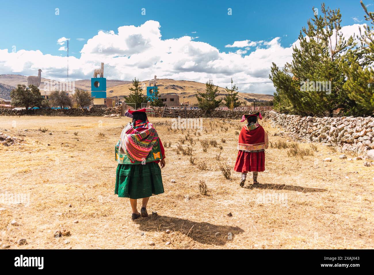 indigenous women walking dressed in typical costumes made of alpaca ...