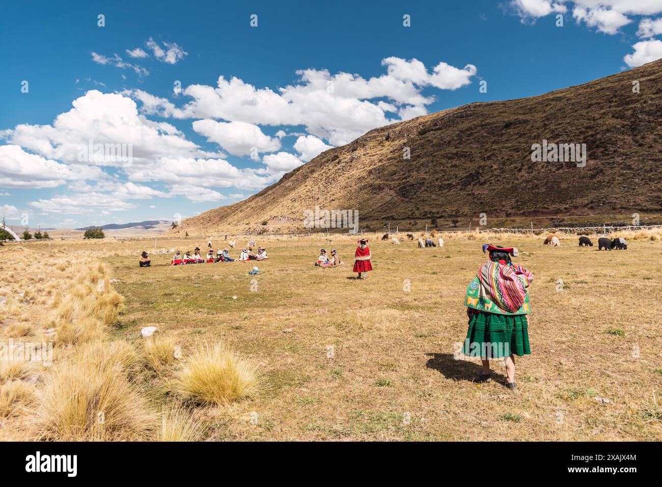 indigenous women walking dressed in typical costumes made of alpaca ...