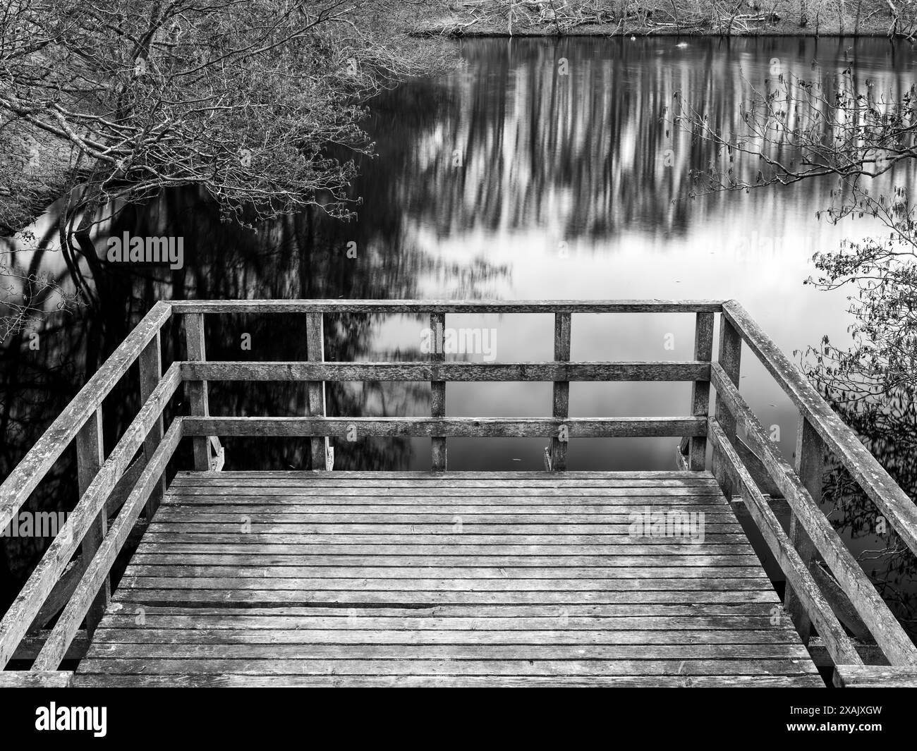 Out and about at the bird quay of a historic duck trap in the ...