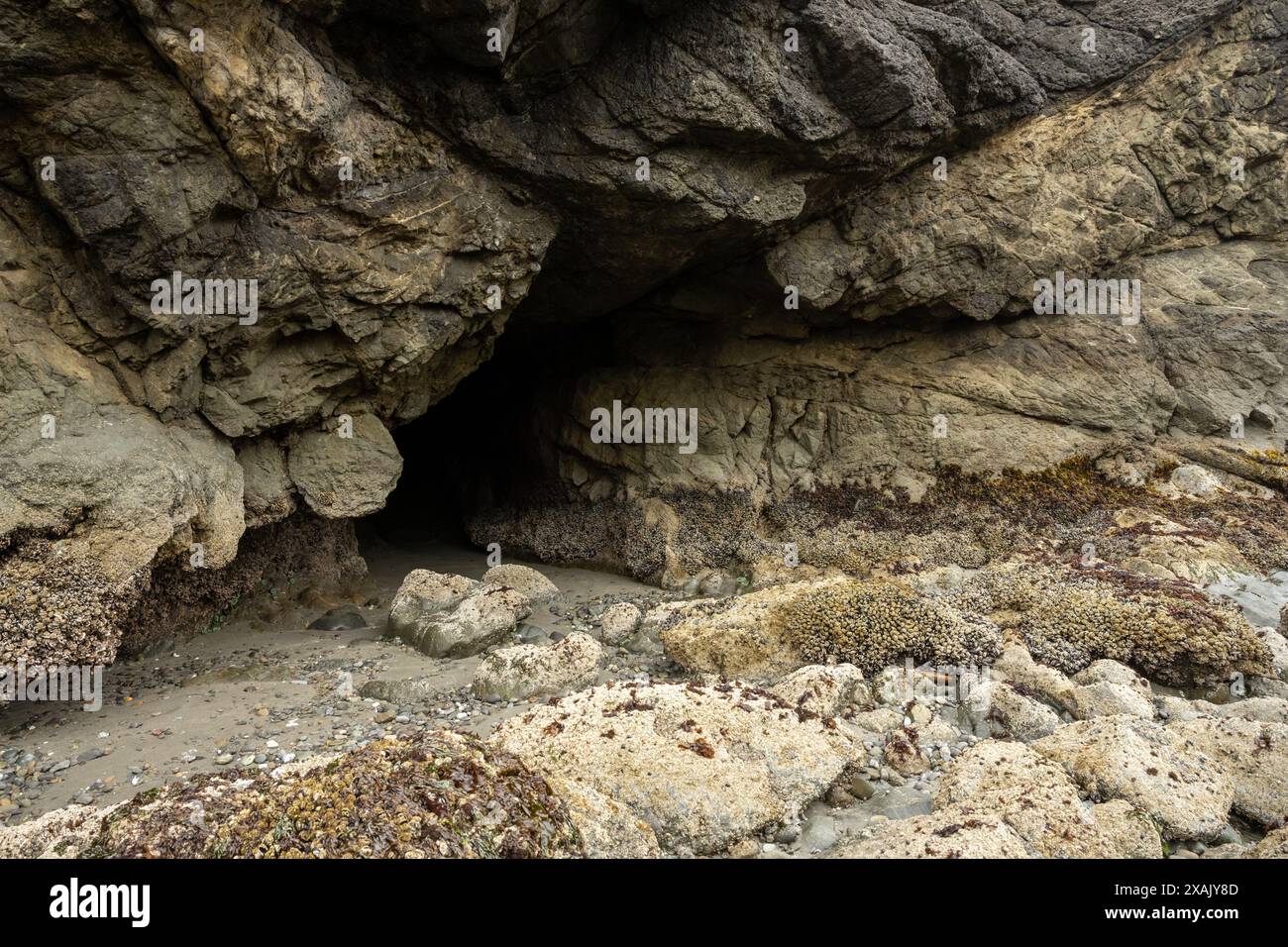 Entrance To Dark Sea Cave At Low Tide On Meyers Beach along the Oregon ...