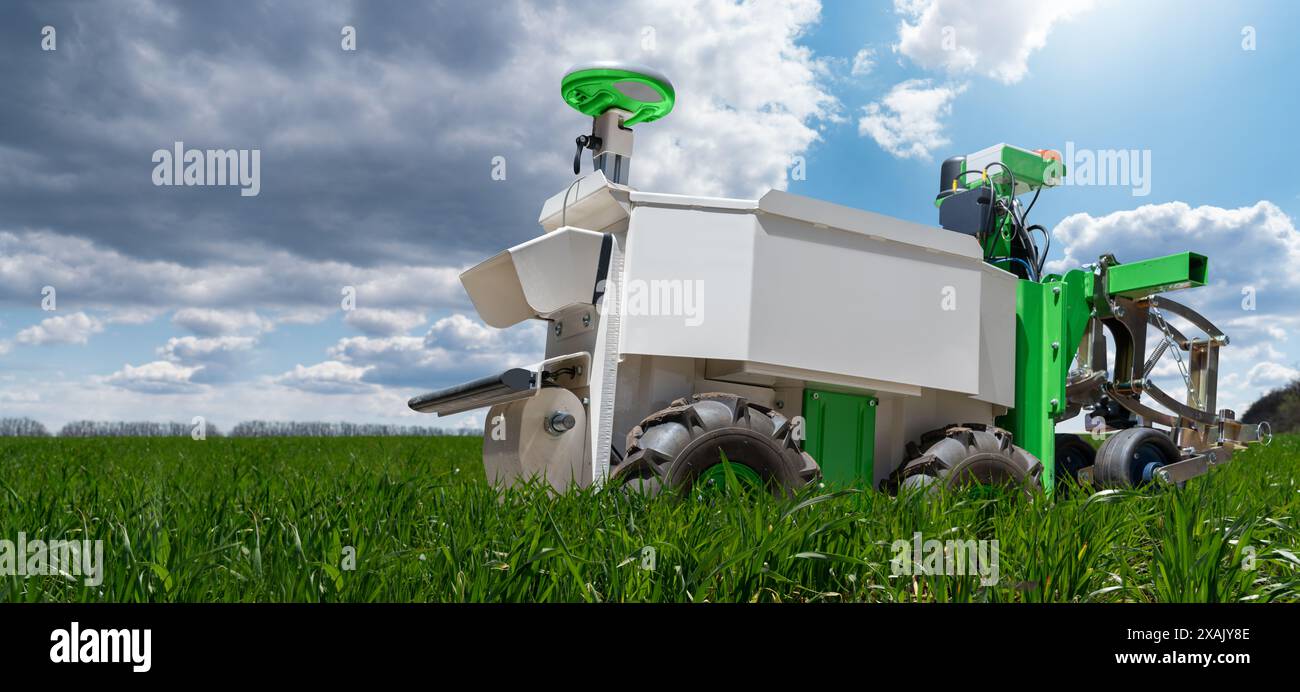 Autonomous wheeled robot is working in an agricultural field. Using ...