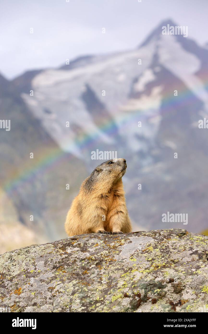 Rainbow summit hi-res stock photography and images - Alamy
