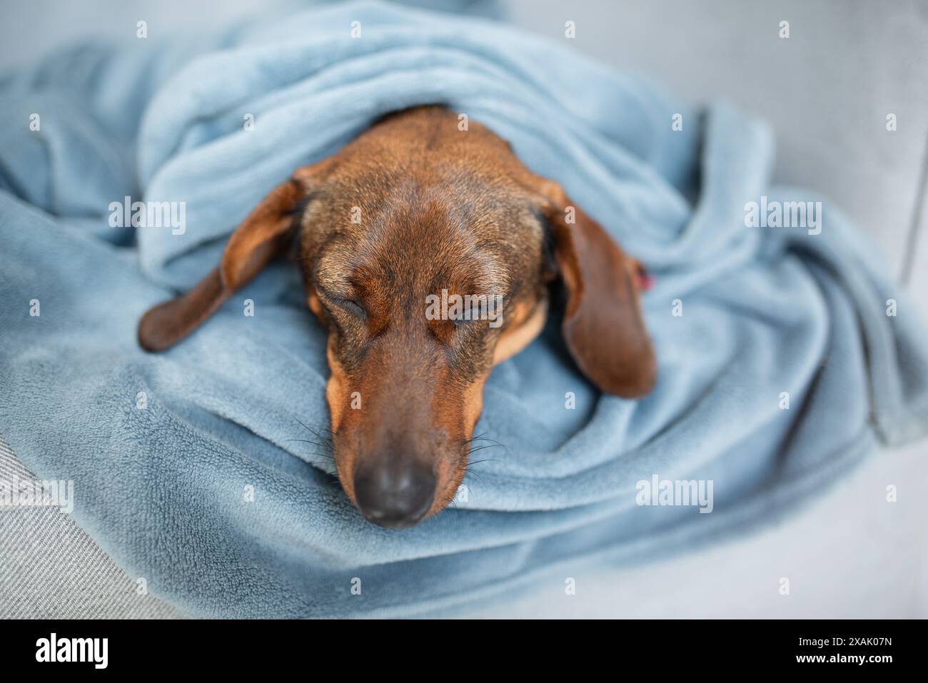 Snuggled up in bed hi-res stock photography and images - Alamy