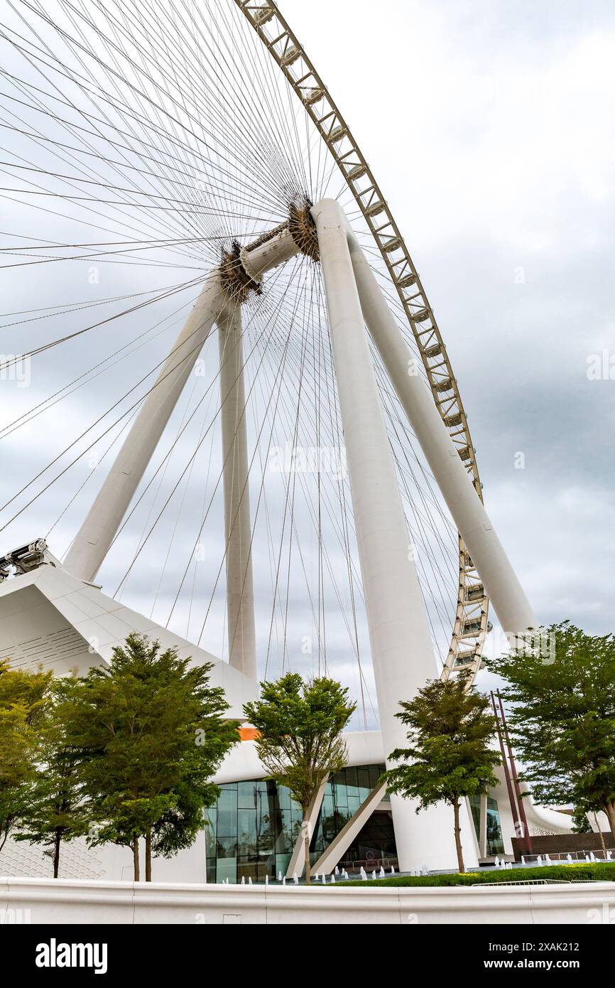 Ain Dubai, Dubai Eye, Ferris wheel, Bluewaters Island, Dubai, United ...