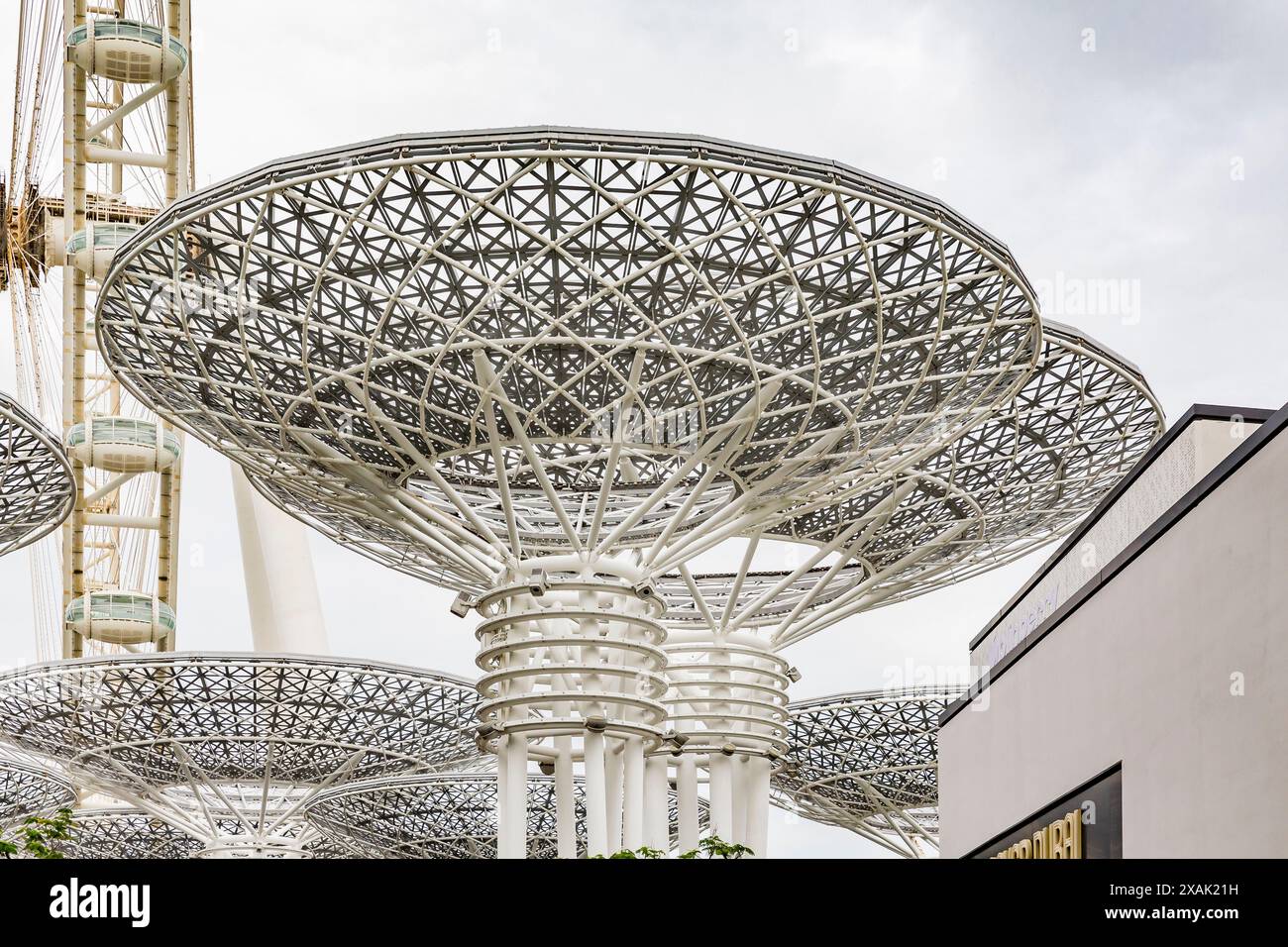 Giant plates as decorations on the Ain Dubai, Dubai Eye, Ferris wheel ...