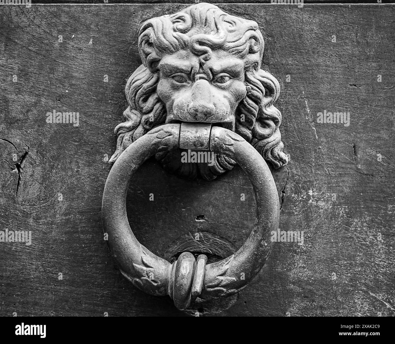 Antique picture of lion Black and White Stock Photos & Images - Alamy