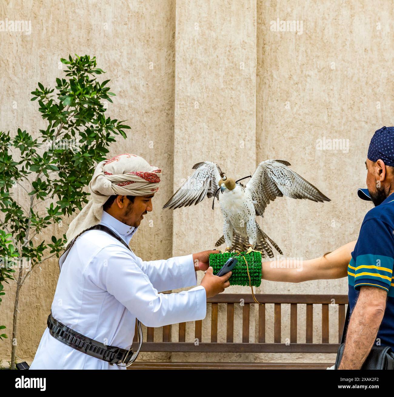 Falconer with falcon, Al Fahidi Historical Neighborhood, Al Bastakiya ...
