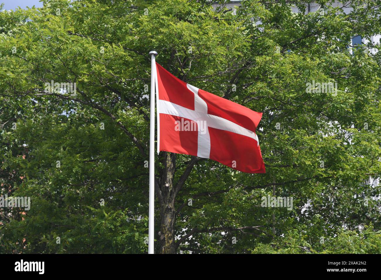 Copenhagen/ Denmark/07 JUNE 2024/Official dannbrog danish flag flying ...