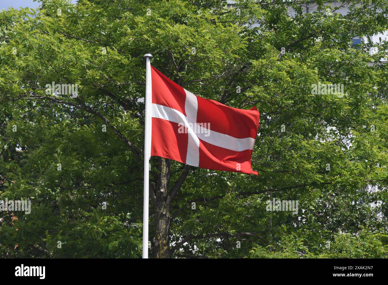 Copenhagen/ Denmark/07 JUNE 2024/Official dannbrog danish flag flying ...
