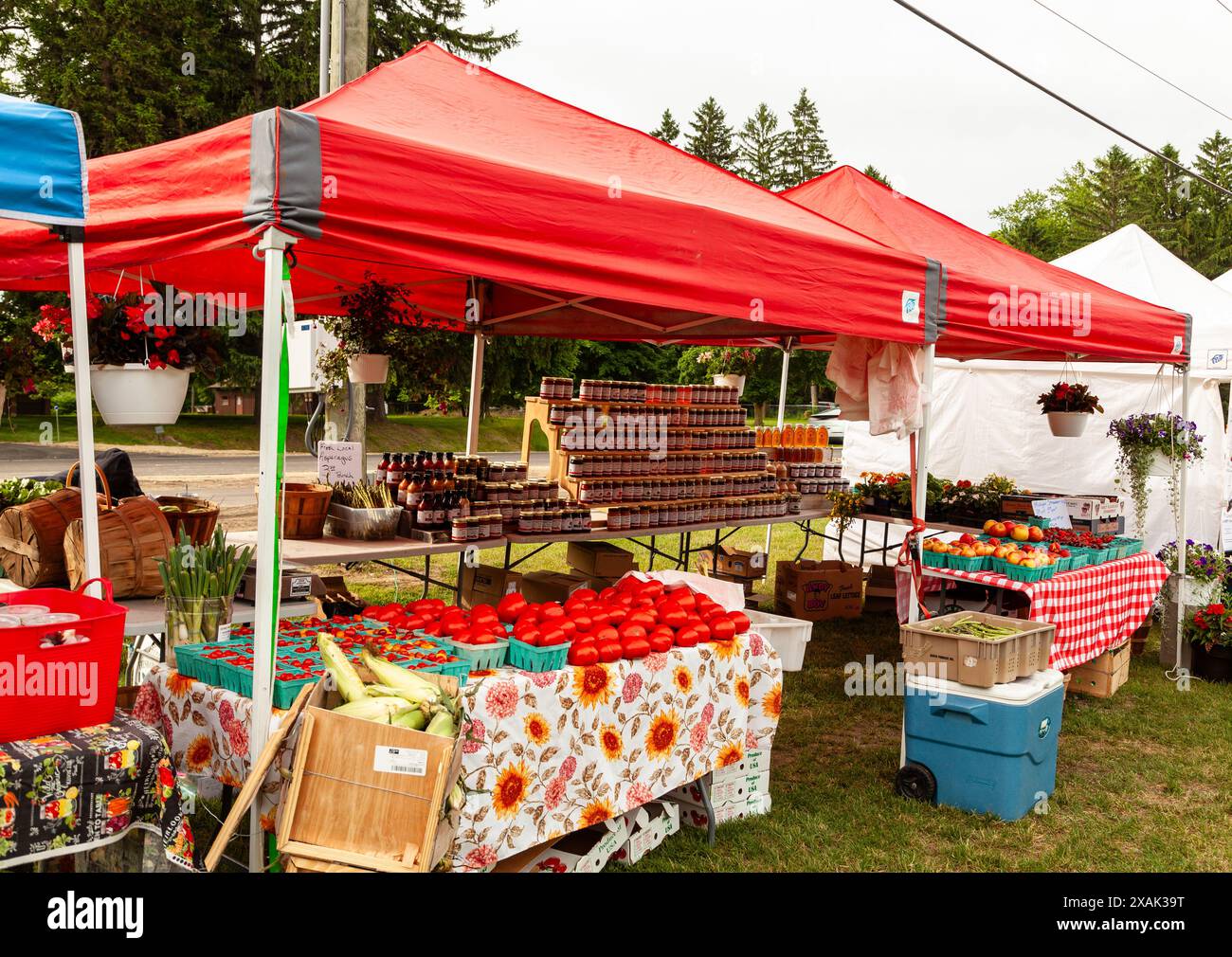 Vegetables in a small market hi-res stock photography and images - Alamy