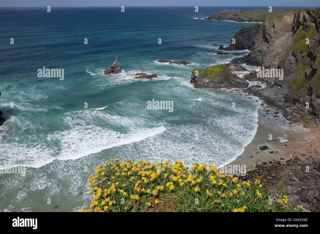 Cornwall spring steps hi-res stock photography and images - Alamy