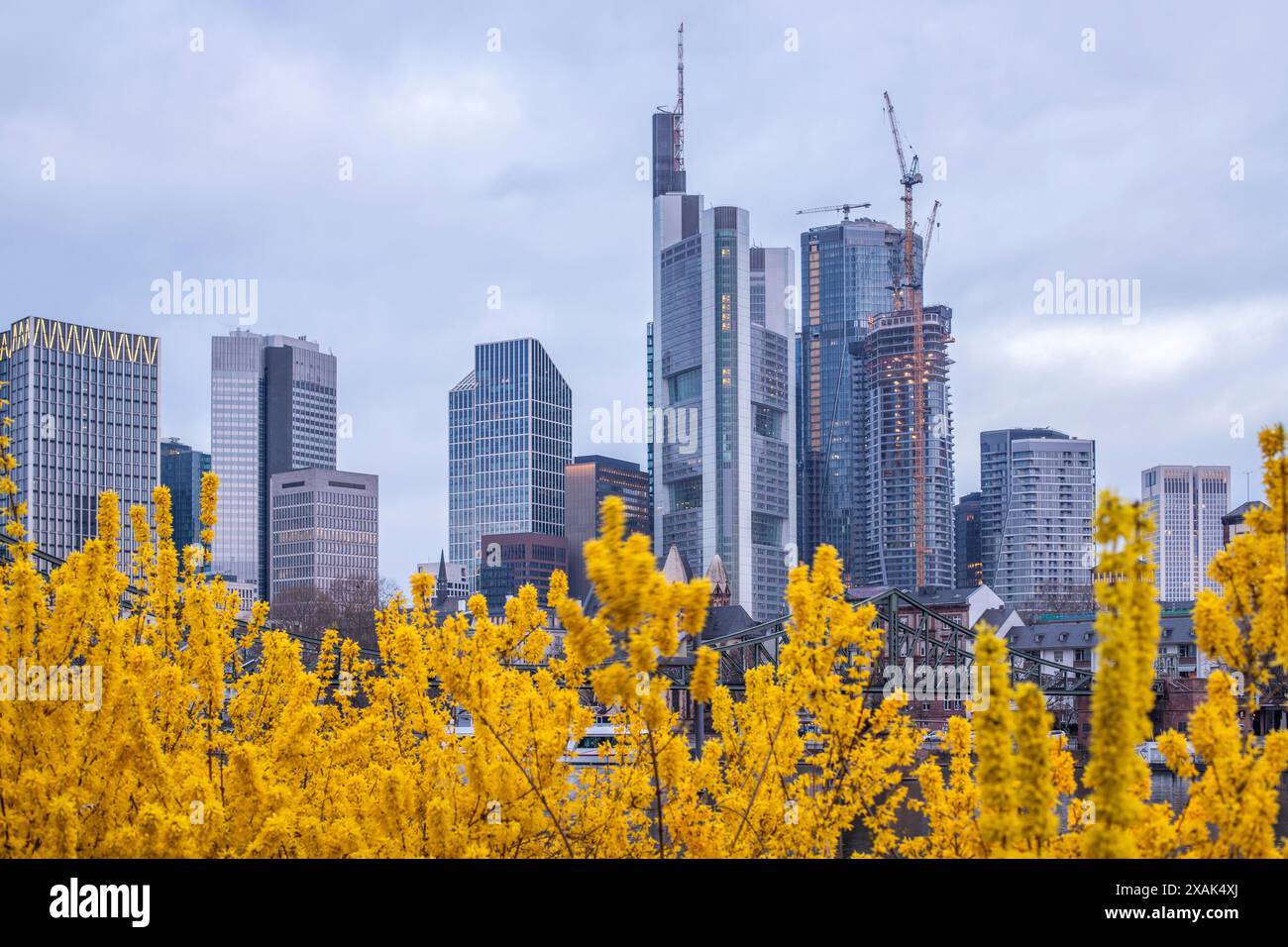 Sunrise on a riverbank in the middle of a big city. Spring with a view ...