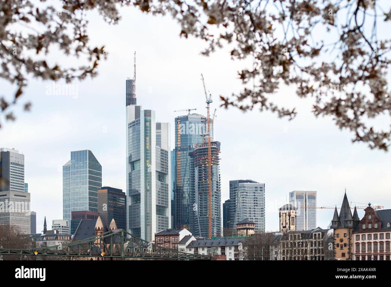 Sunrise on a riverbank in the middle of a big city. Spring with a view ...