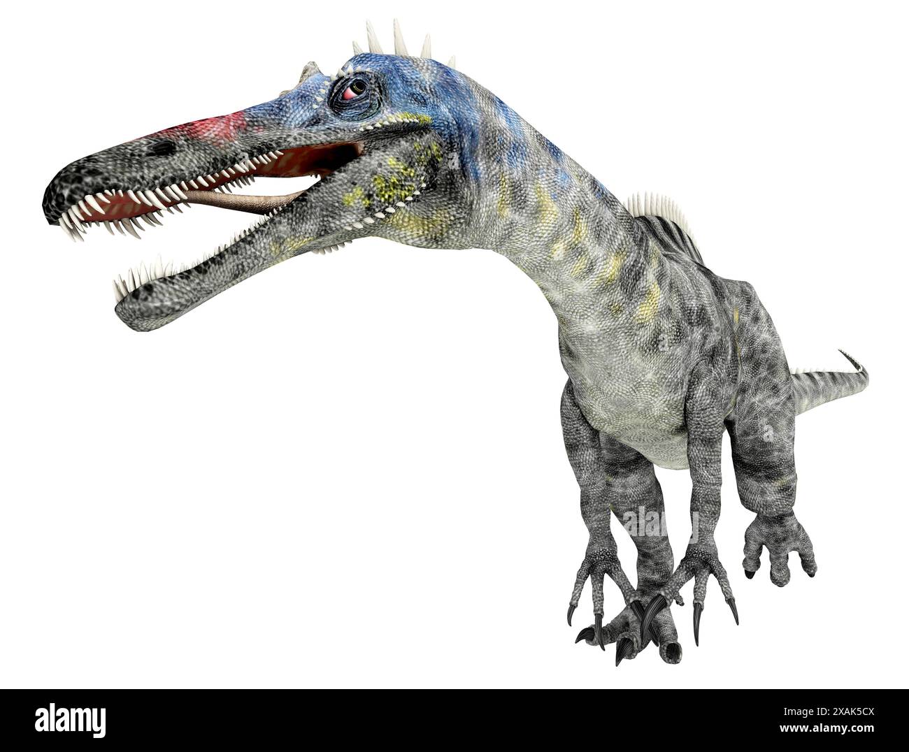 Dinosaur Suchomimus isolated on white background Stock Photo - Alamy