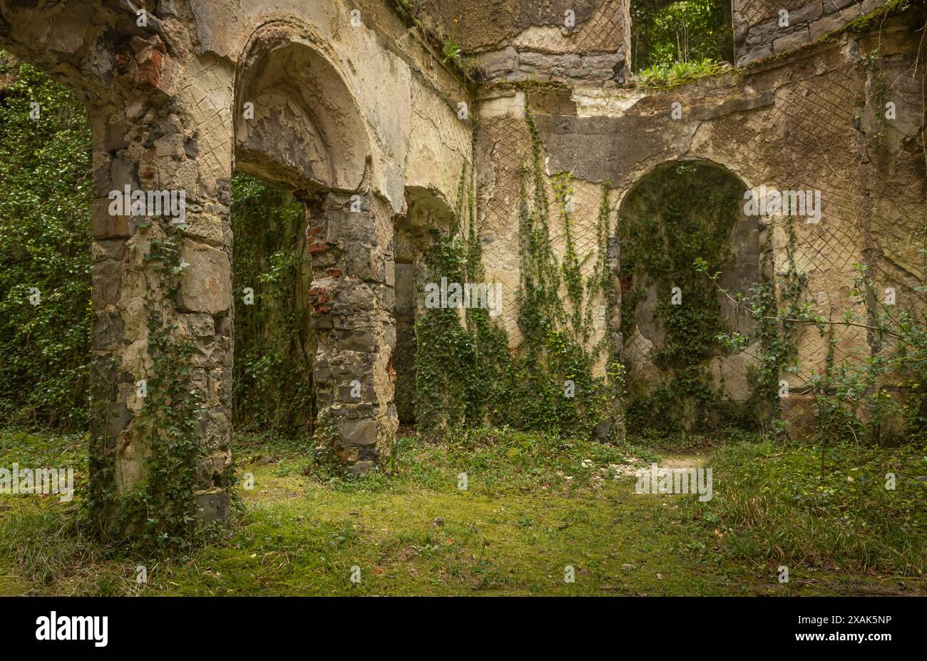 Ancient rundown interior of a building being reclaimed by nature Stock ...