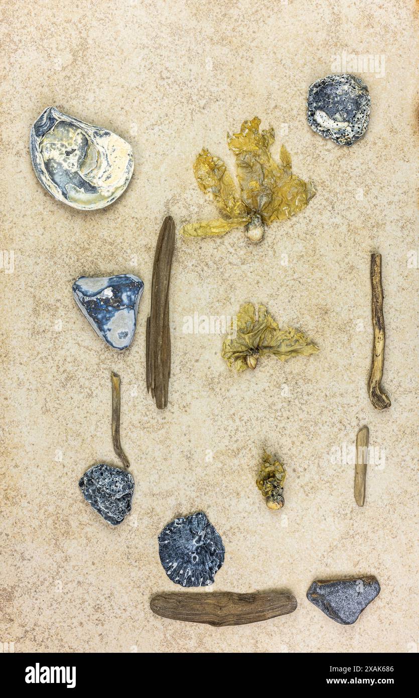 Objects and stills hi-res stock photography and images - Alamy