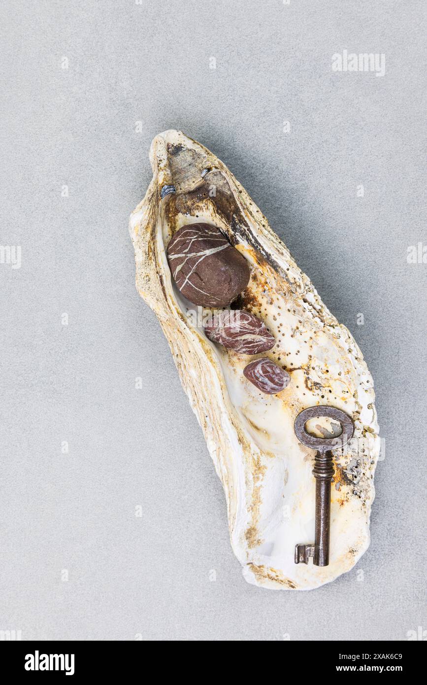 Objects found on beach hi-res stock photography and images - Alamy