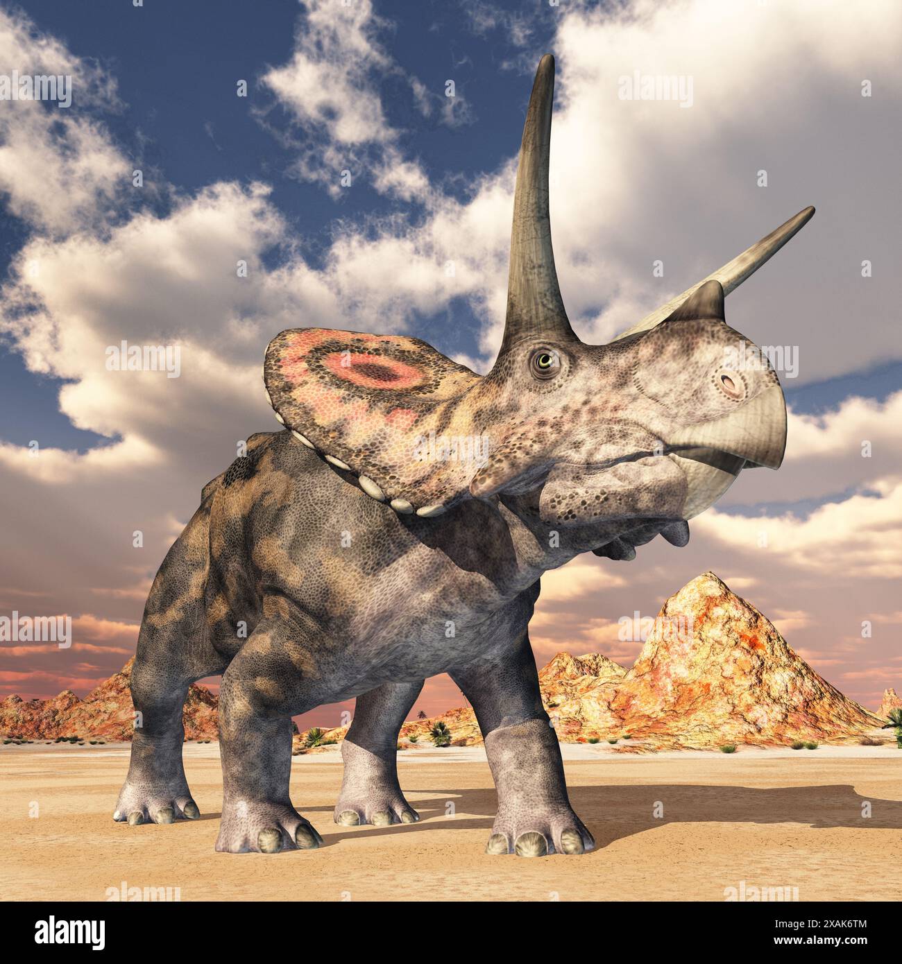 Torosaurus hi-res stock photography and images - Alamy