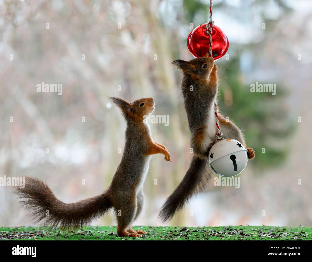 Bells rope hi-res stock photography and images - Alamy