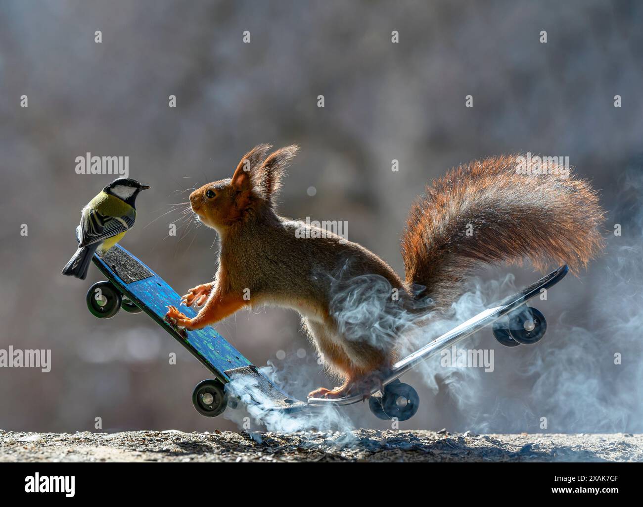 Jump ramps hi-res stock photography and images - Alamy
