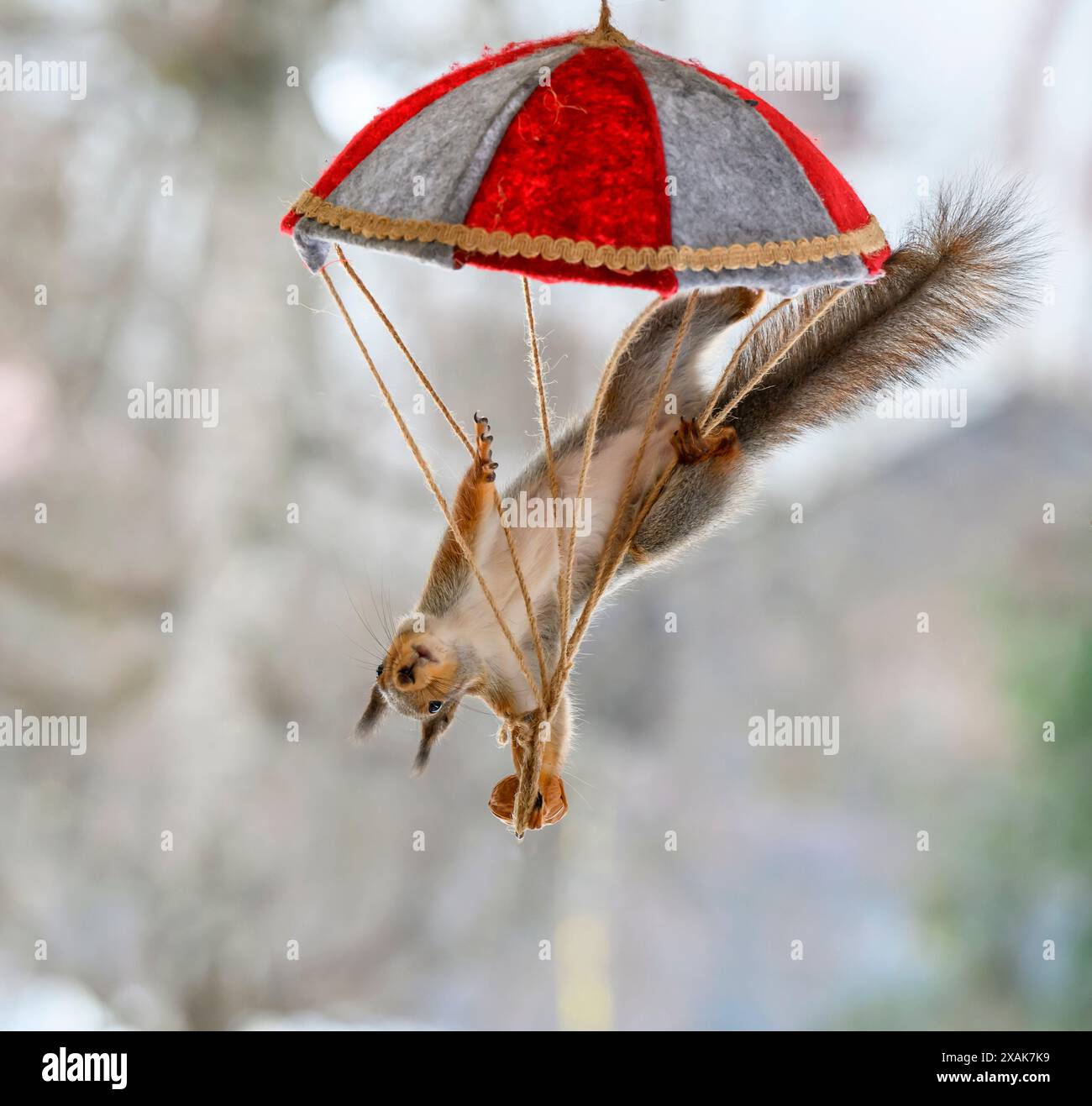 Parachute landing hi-res stock photography and images - Alamy